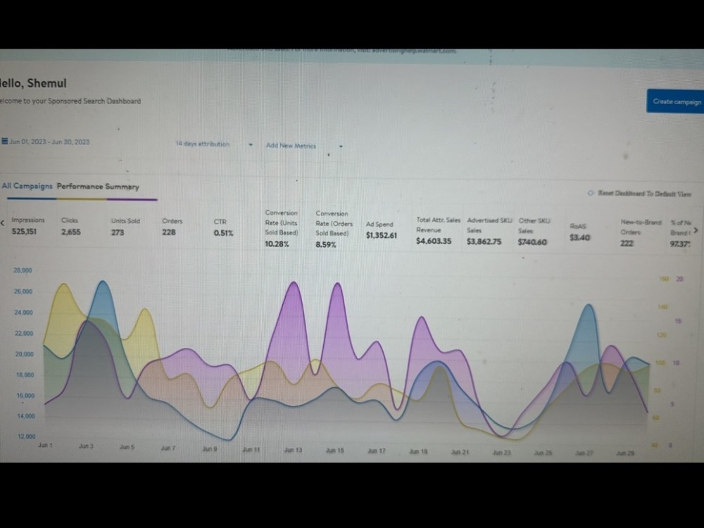 Walmart PPC Campaign Manager | Upwork