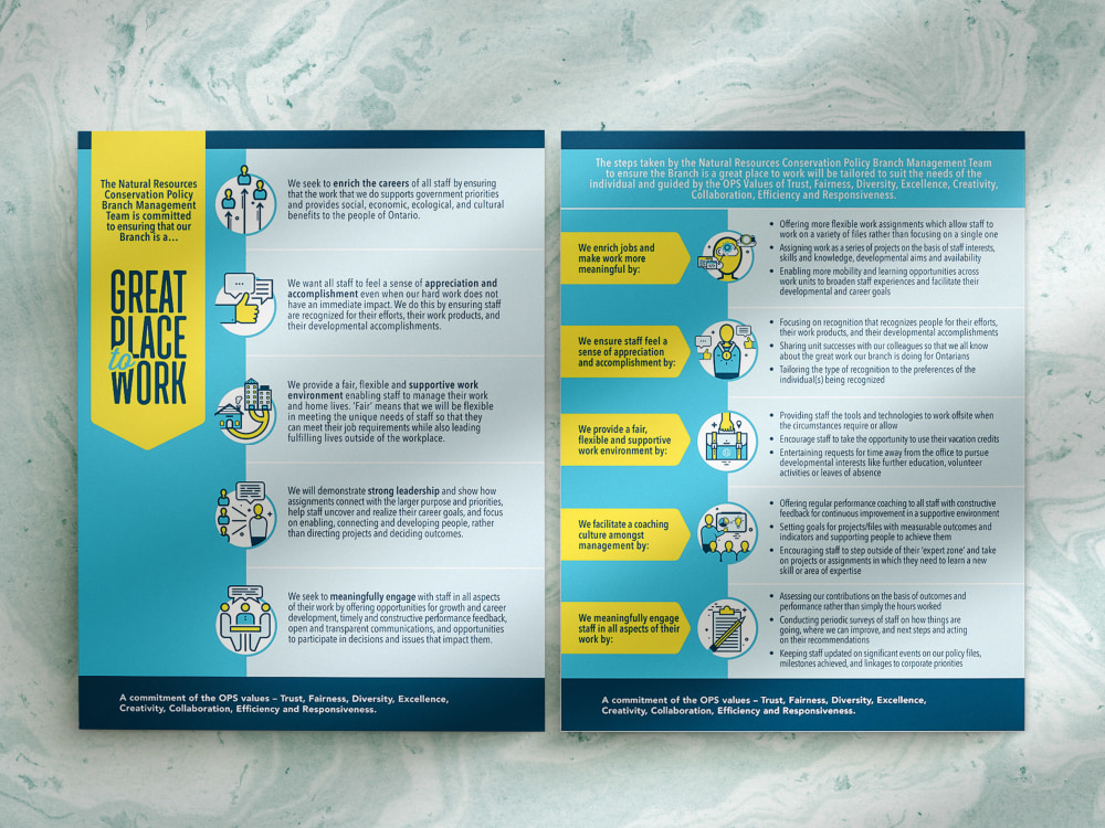 Fact sheet/Capability Statement for your business | Upwork