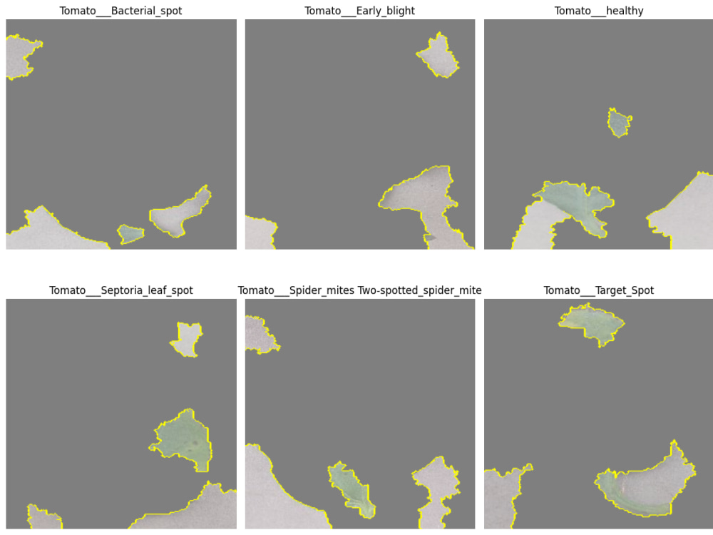 Machine learning, deep learning, image processing implementation in Python | Upwork