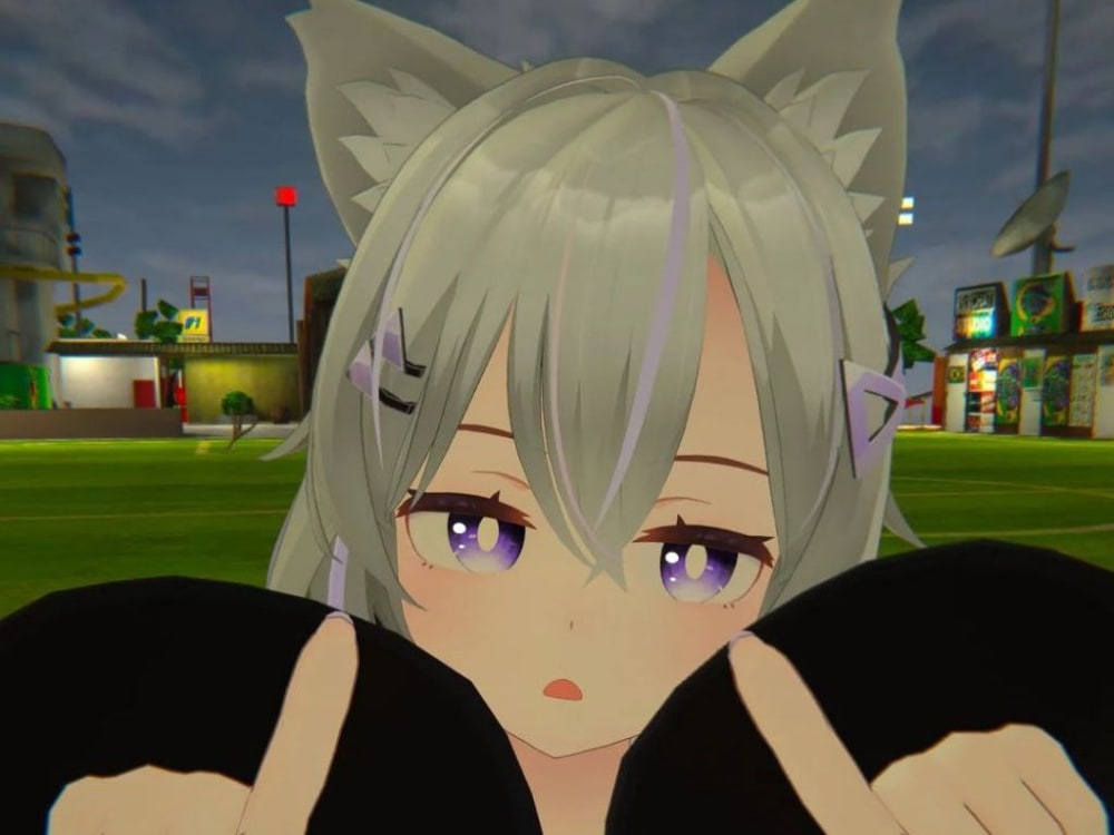 Model and rig vrchat avatar, furry avatar, vrc avatar, vtuber or vrm ...
