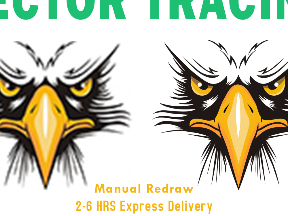 A fantastic redraw or recreate your logo or image and vector tracing | Upwork