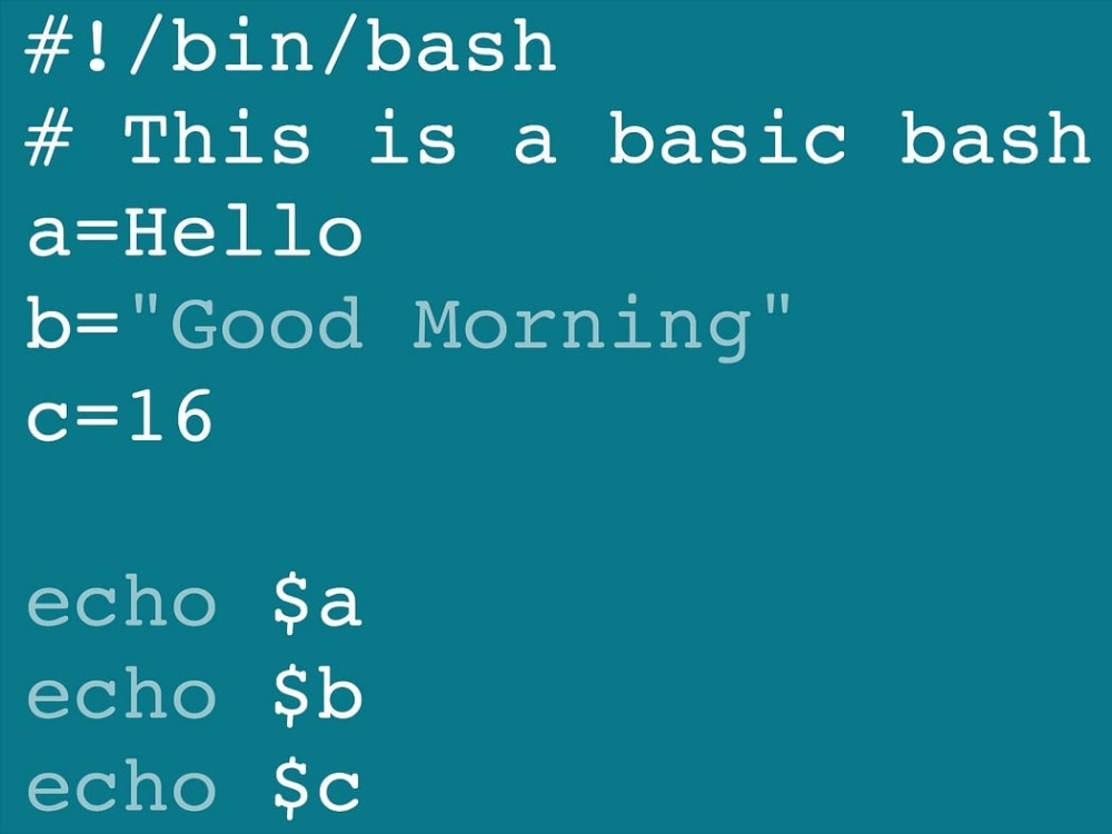 Linux Bash Script Development | Upwork Linux Bash Script Development | Upwork