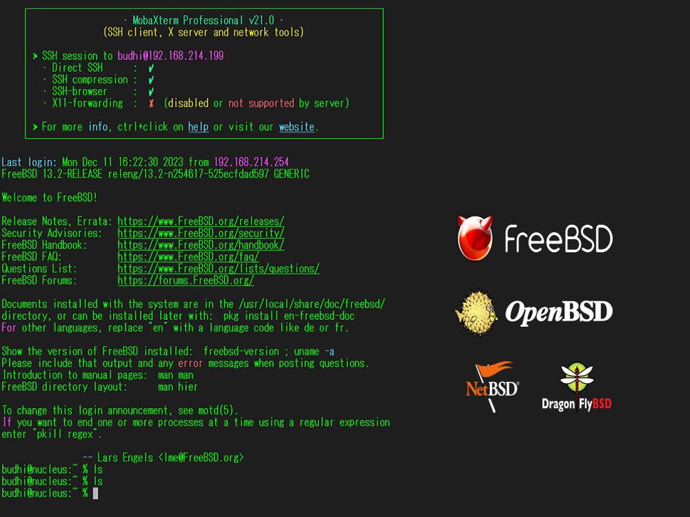 Installation and configuration of robust and secure server BSD Family ...