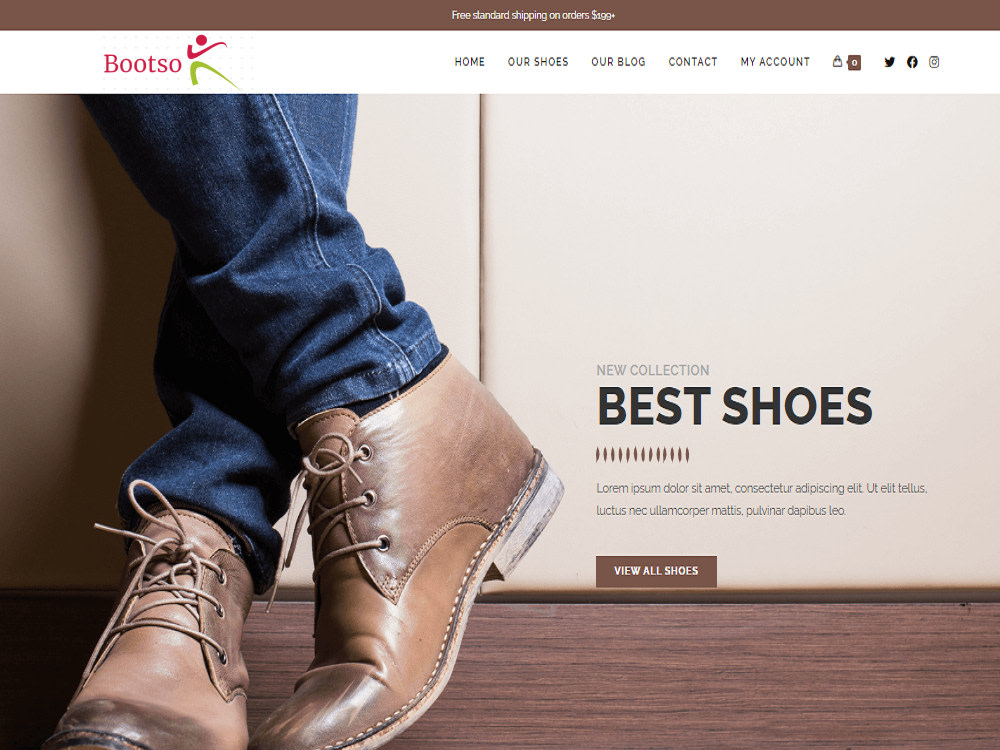 Professional Wordpress Website Design With E Commerce Functionality