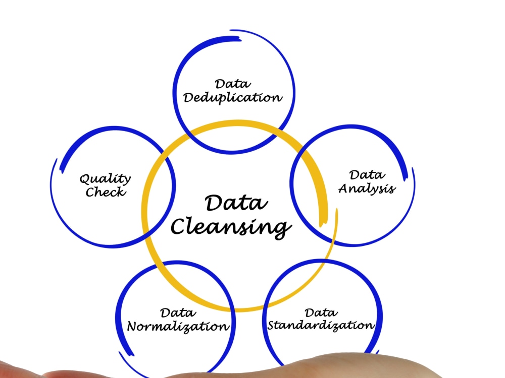 The Data Whisperer: Cleaning and Visualizing Your Data for Maximum Impact | Upwork