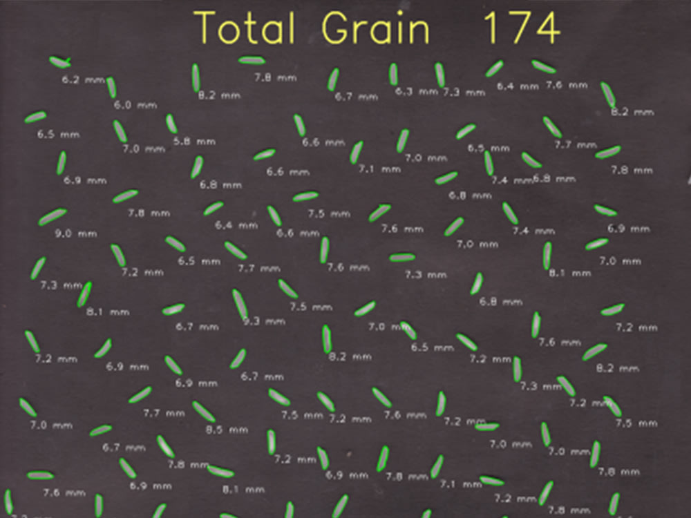 AI Solutions for Object Detection & Measurement using Image Processing | Upwork