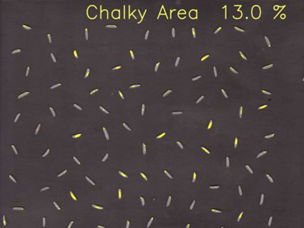 AI Solutions for Object Detection & Measurement using Image Processing | Upwork