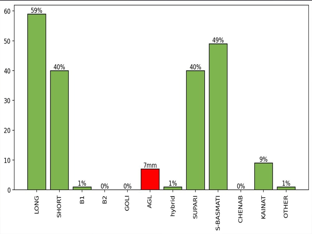 AI Solutions for Object Detection & Measurement using Image Processing | Upwork