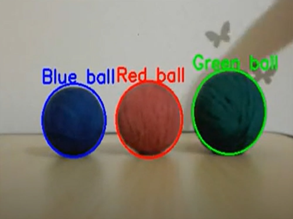 AI Solutions for Object Detection & Measurement using Image Processing | Upwork