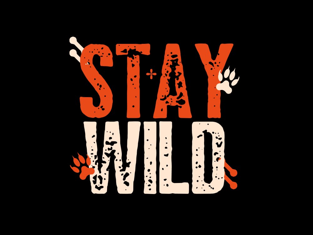 Custom font and typography design for you | Upwork