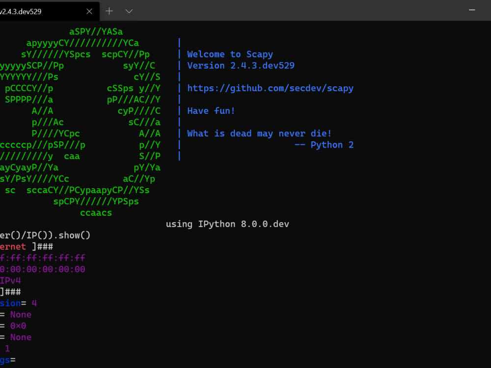 Your Python Scapy Packet Analysis Task Done Upwork