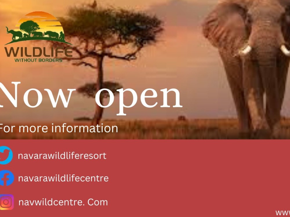 Good quality and a visually appealing logo,poster,business cards and ...