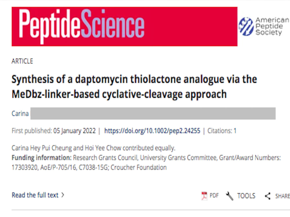 Comprehensive Support for Your PhD / MPhil Journey | Upwork