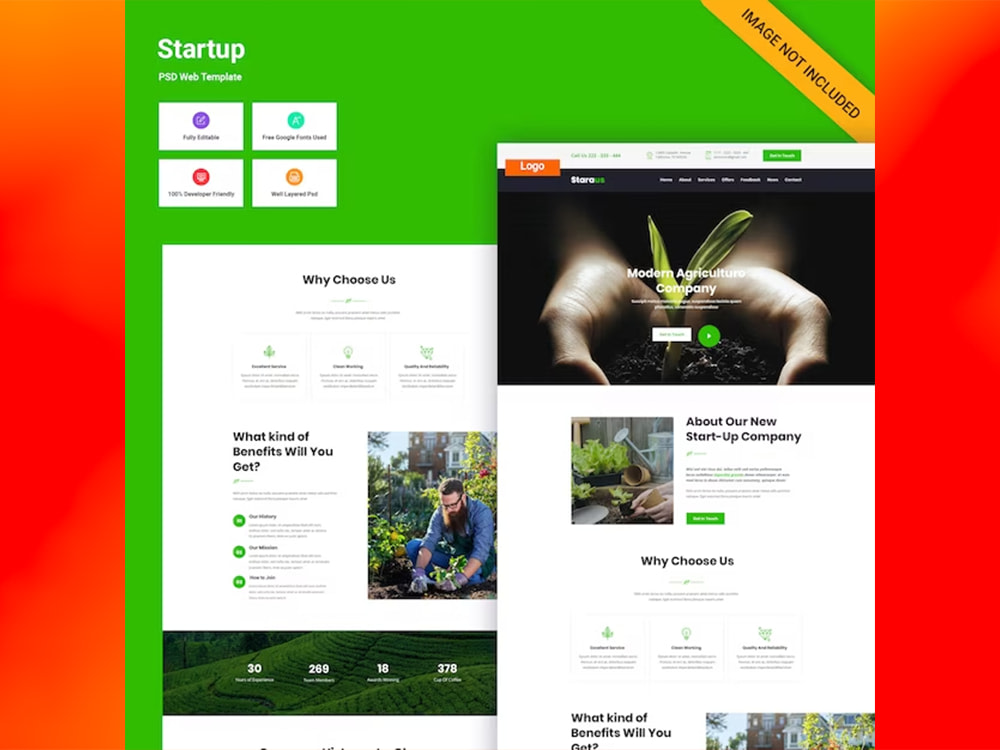 WordPress Website Customization Child Theme Design Backup Restore Redesign | Upwork