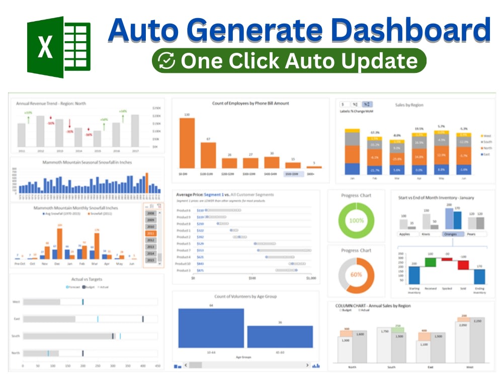 Custom Excel Executive Dashboard | Upwork