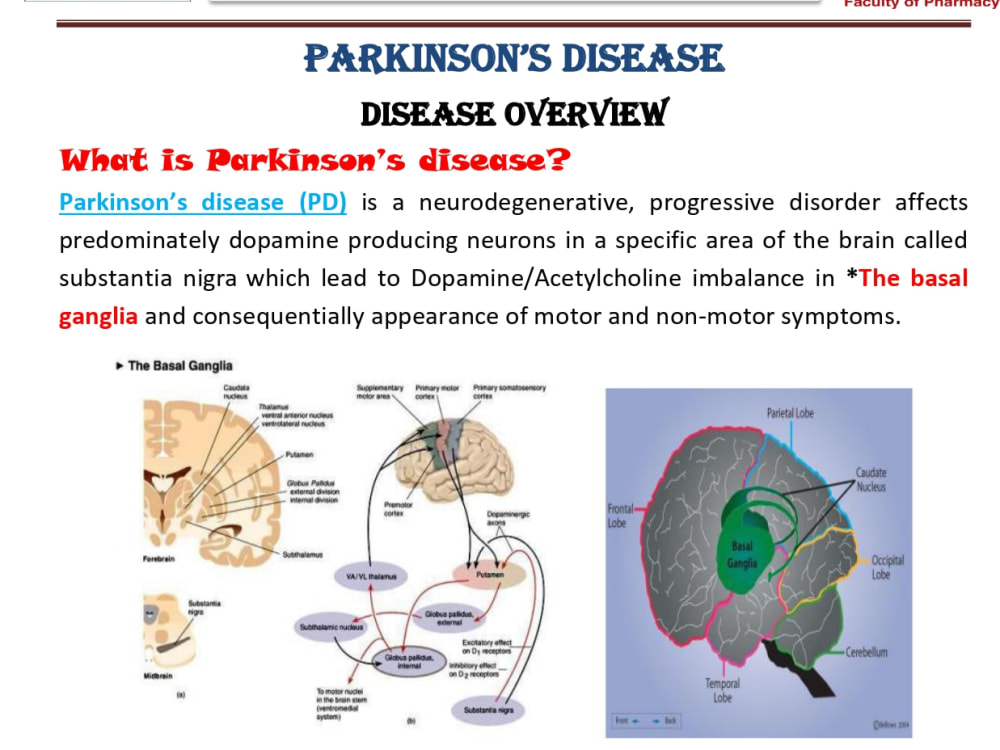 Analyzing and Understanding Parkinson’s Disease | Upwork