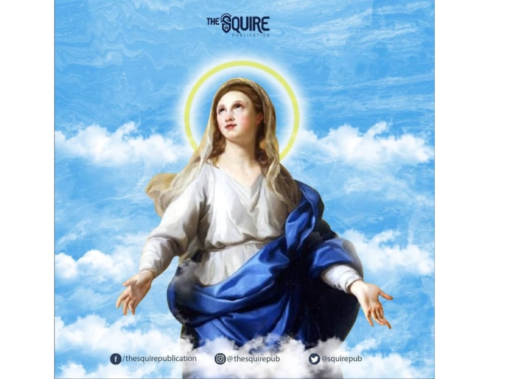 A layout that is meticulously crafted. | Upwork