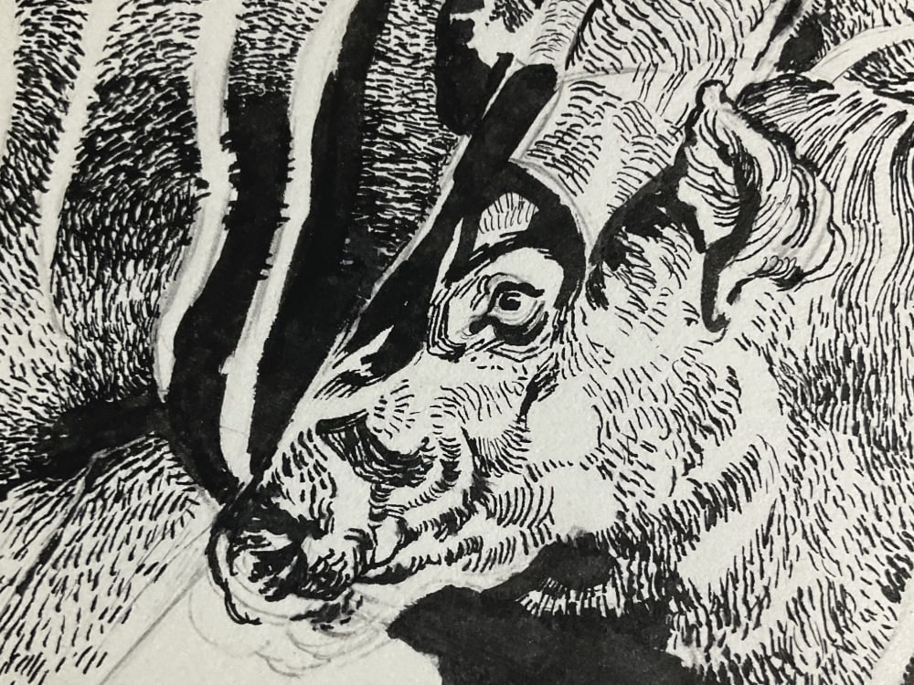 Traditional ink illustrations for your book project. | Upwork