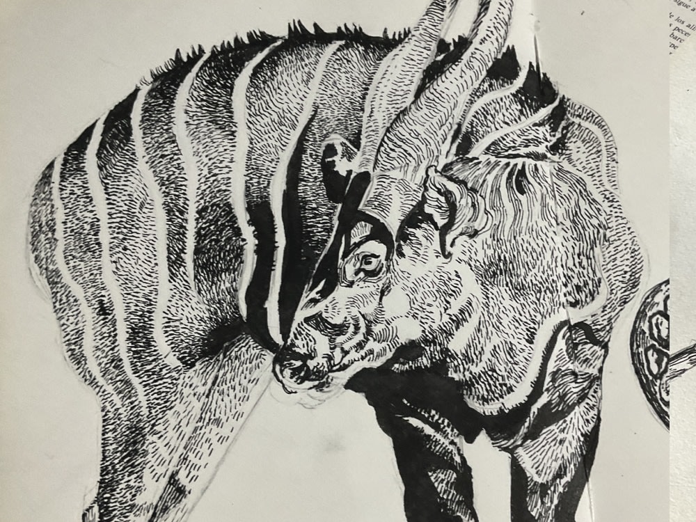 Traditional ink illustrations for your book project. | Upwork