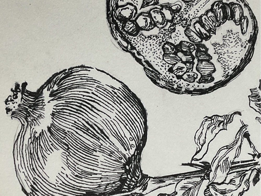 Traditional ink illustrations for your book project. | Upwork