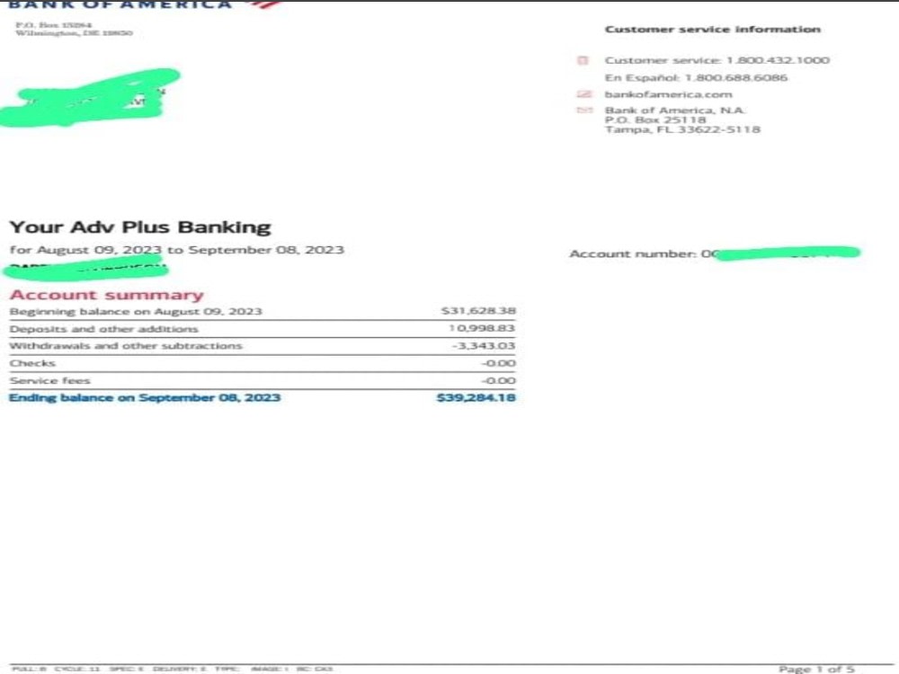Pay Stub, Pay Check, Pay Slip or BOA | Upwork