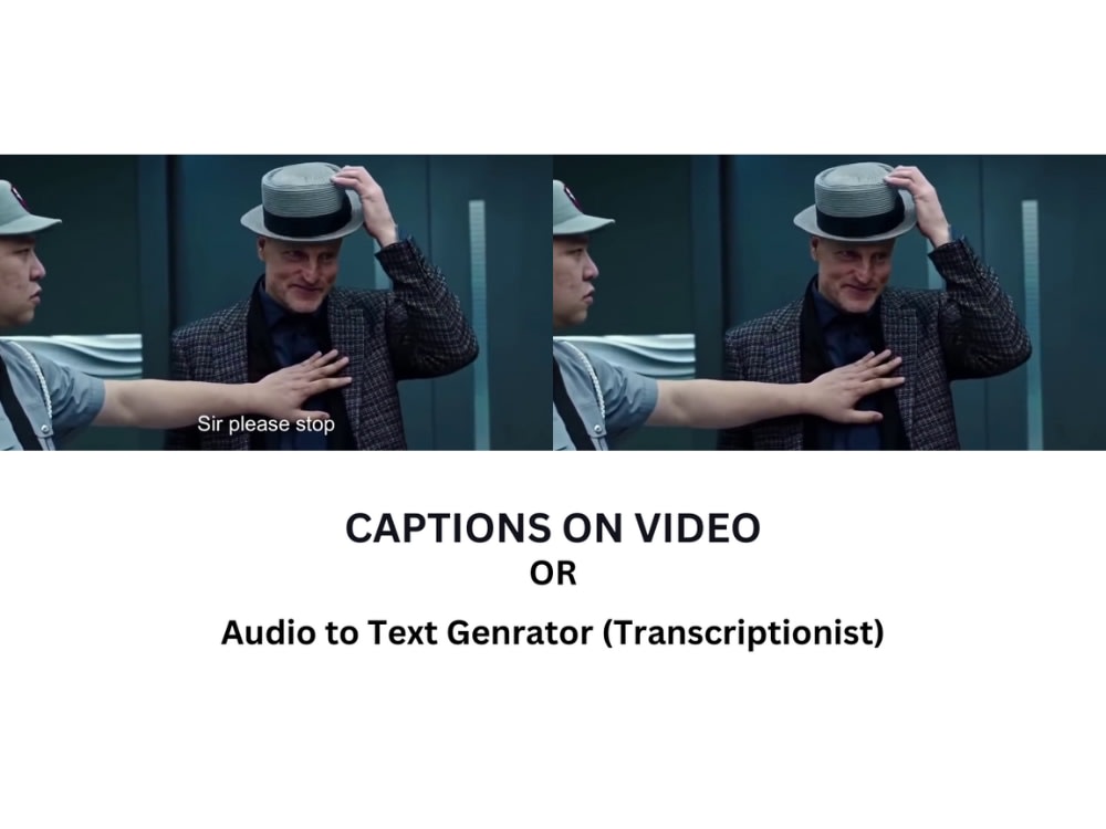English Transcriptionist and Captioner with an experience of 3 years ...