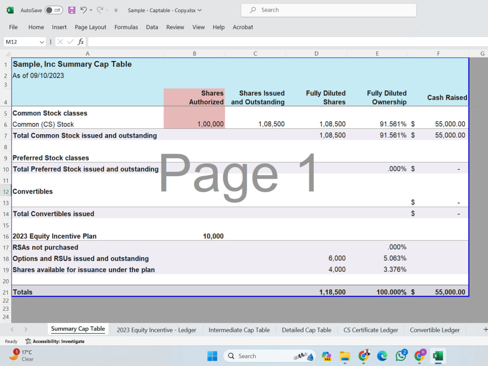 A detailed Cap Table for your Start-up Ownership Structure | Upwork
