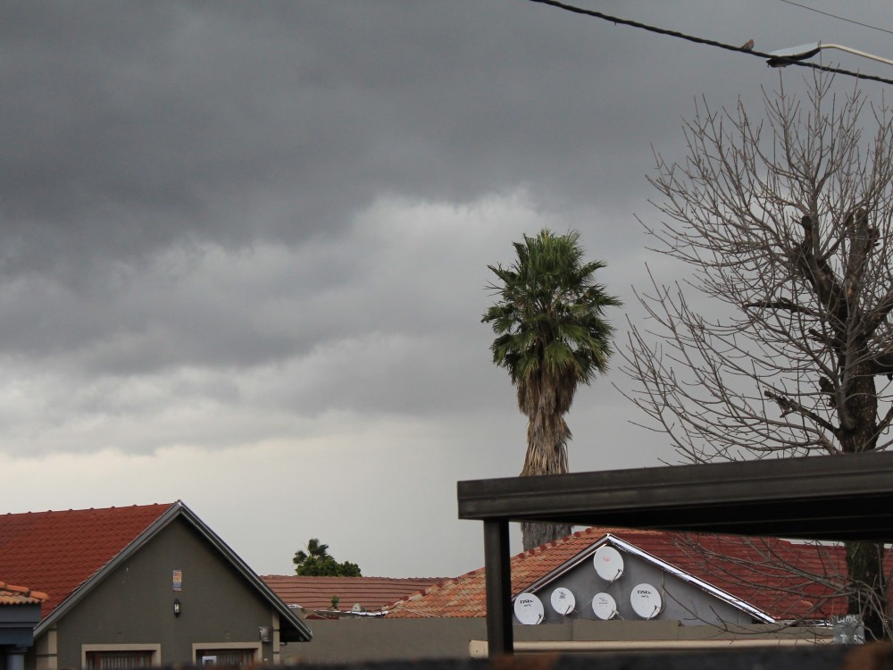 Close-up Nature Photography, raw sample. | Upwork