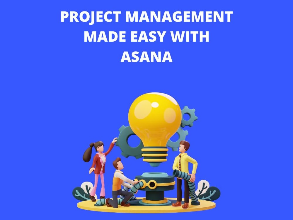 An efficient Asana Workspace & Management Support for your business ...