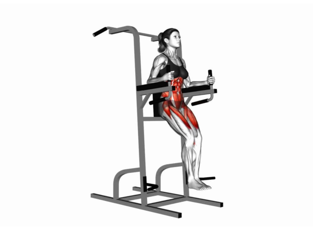 3d fitness animation workout 320 videos for women | Upwork