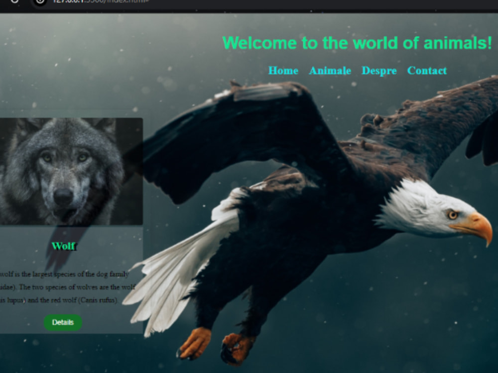 HTML & CSS home page | Upwork