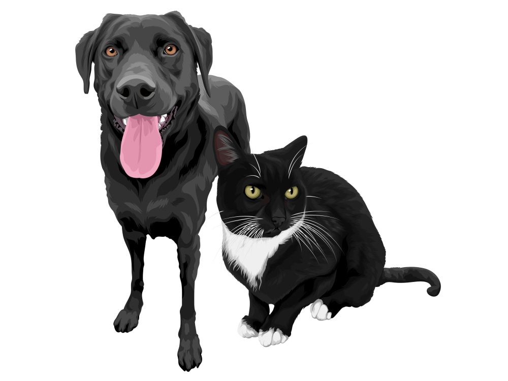 Vector illustration for your pet portrait | Upwork