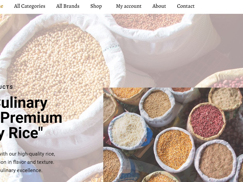 Webmaster Enthusiastic developer with keen eye coder. | Upwork