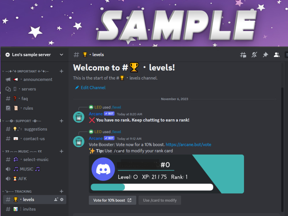 A customized discord server | Upwork
