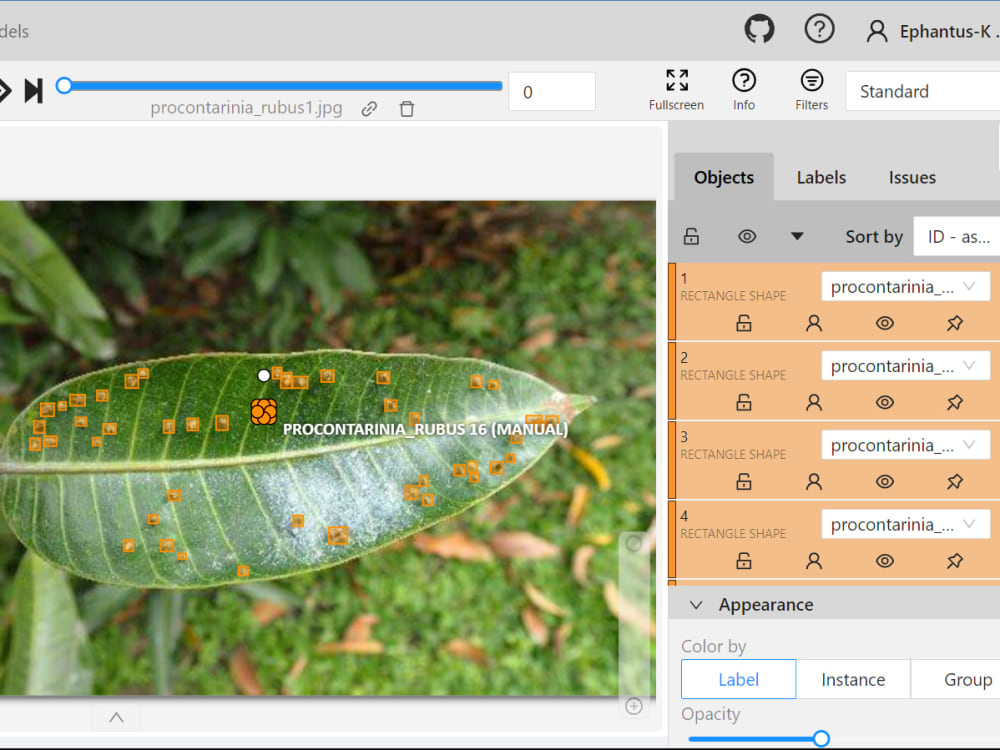 Image Annotation Segmentation Bounding Box And All Data Labeling For Ai Upwork