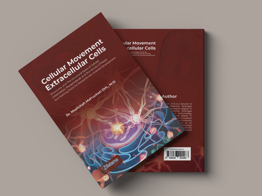 An Attractive and Modern Book Cover Design within 24 hours | Upwork