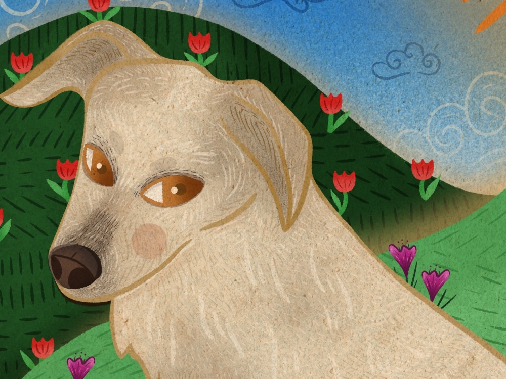 Magical and beautiful Personalized Illustrations | Upwork