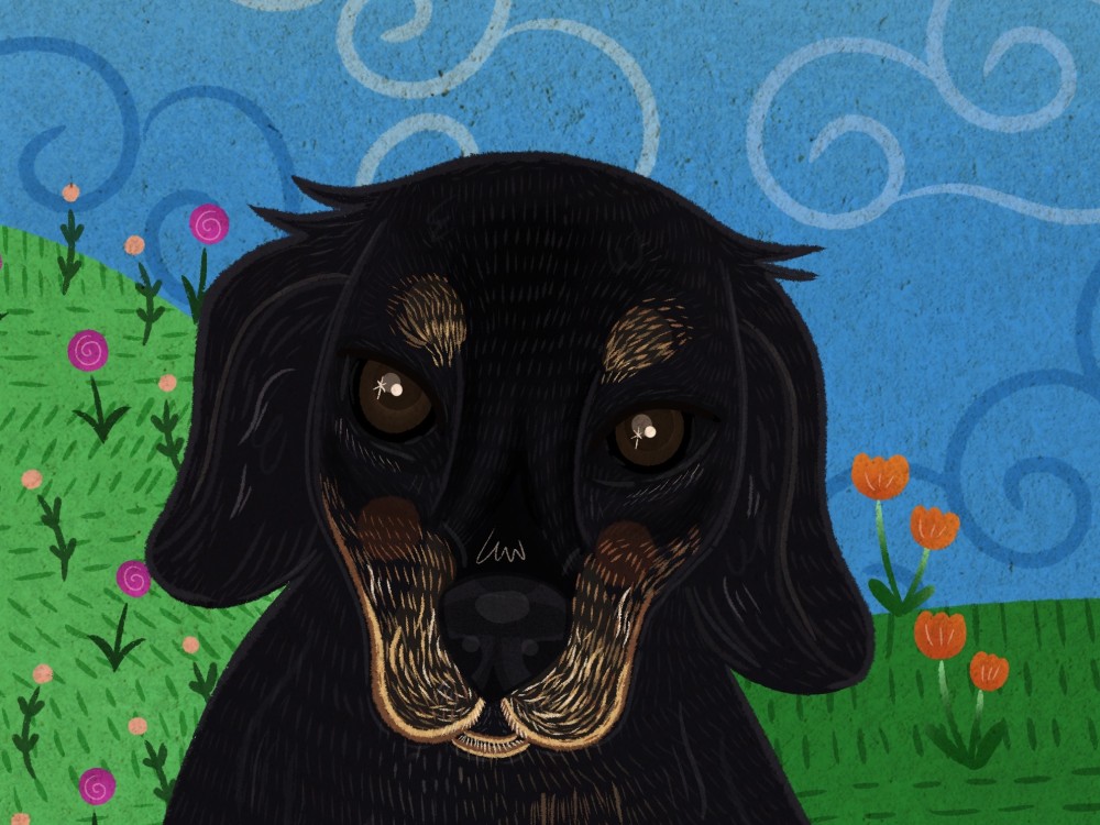 Magical and beautiful Personalized Illustrations | Upwork