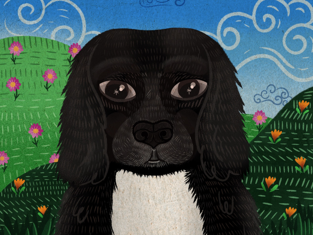 Magical and beautiful Personalized Illustrations | Upwork