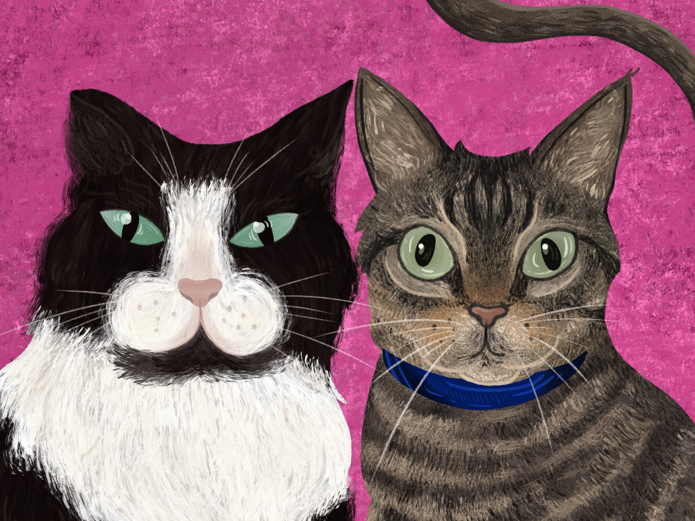 Magical and beautiful Personalized Illustrations | Upwork