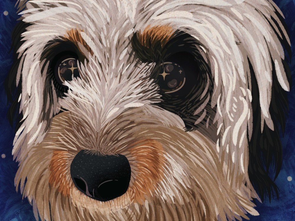 Magical and beautiful Personalized Illustrations | Upwork