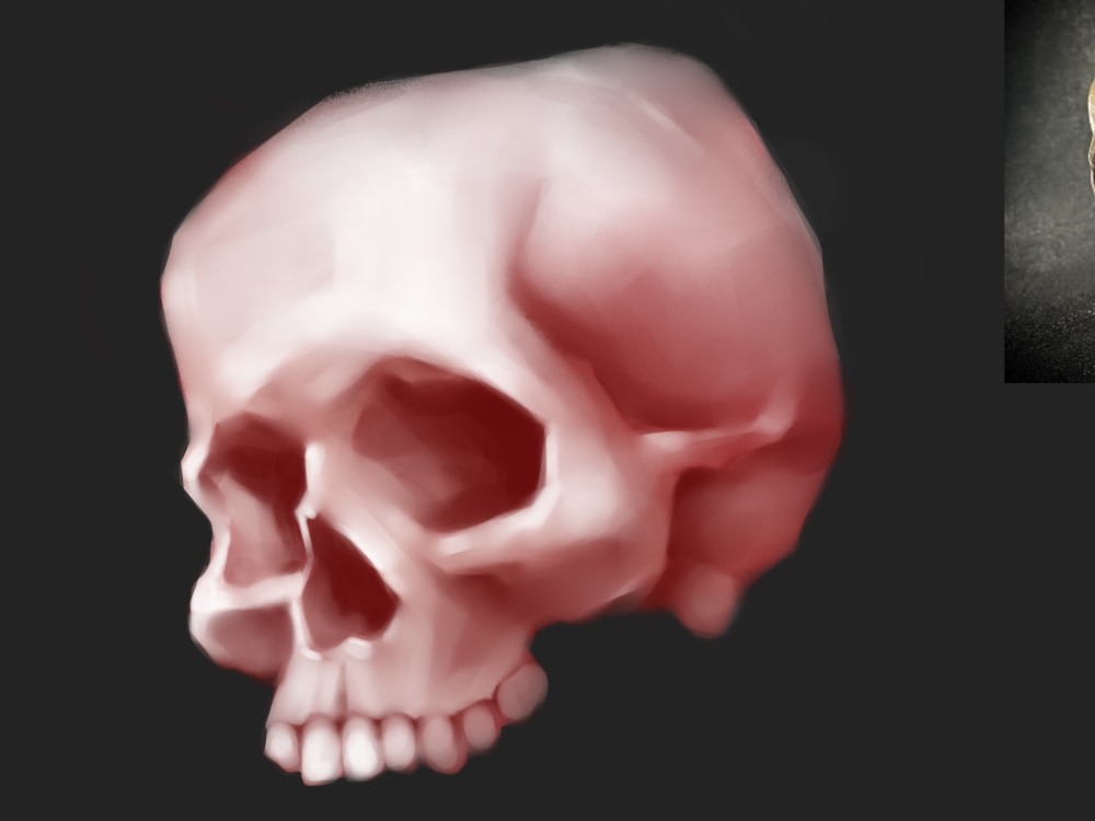 Bold 3/4 and profile red skull portraits in grayscale | Upwork