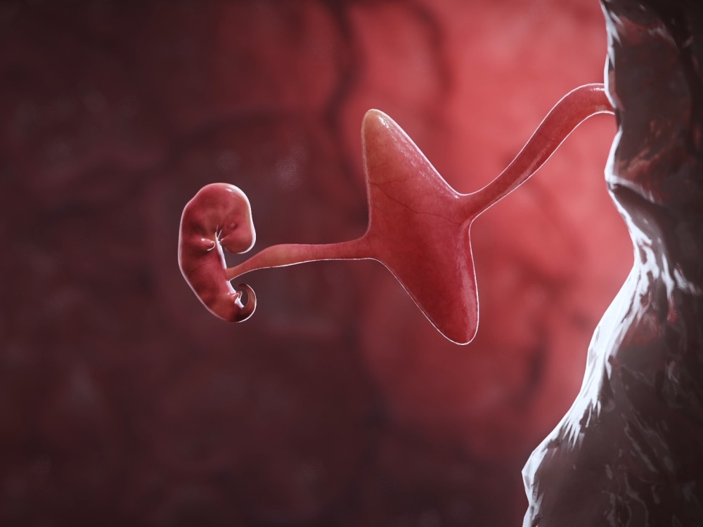 Create 3d animation with voiceover, vfx, cgi, 3d medical animation | Upwork