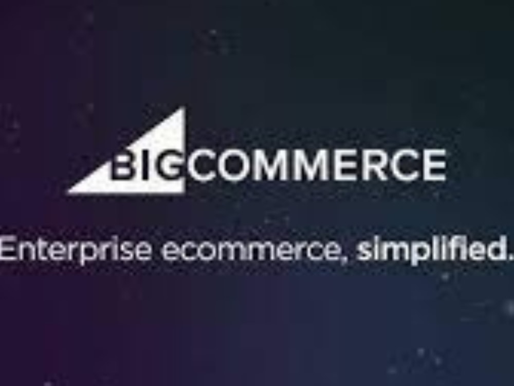 Design a professional bigcommerce website, bigcommerce store design ...