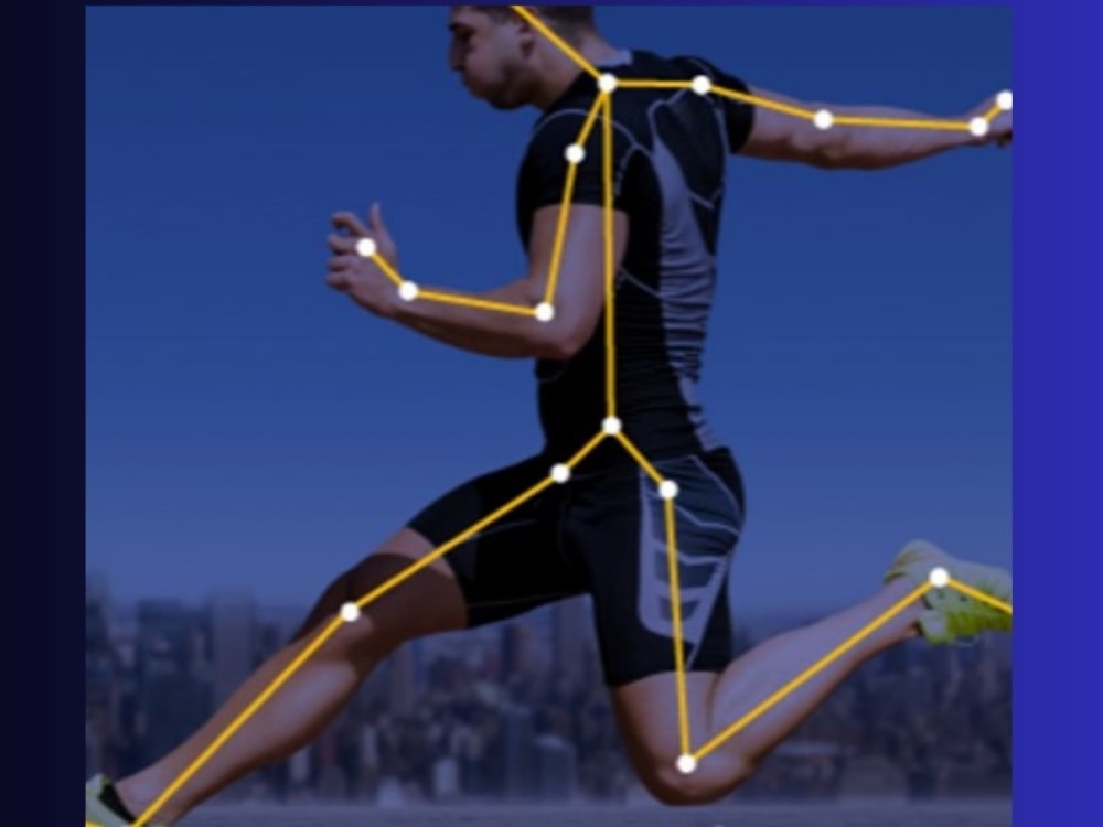 Annotate, tag, polygon, bounding box for your AI, ML, CV | Upwork