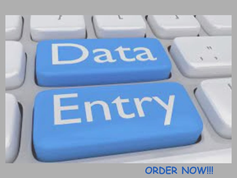 A great data entry service with accuracy, data entry virtual assistant ...