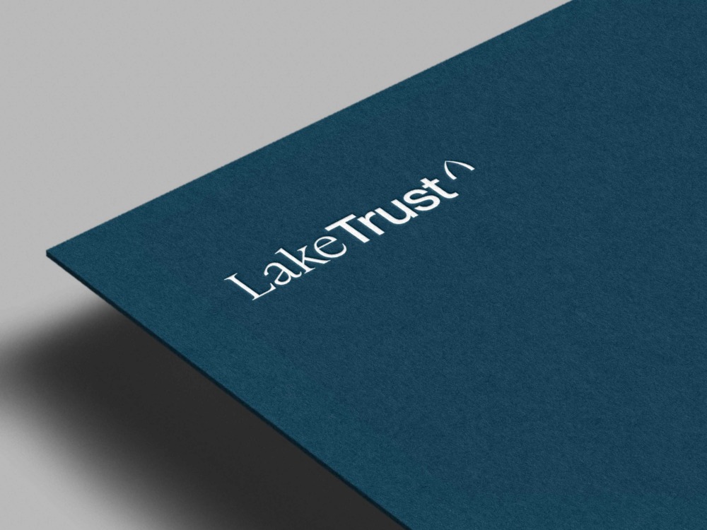 An overall brand vision, story, identity and logo. | Upwork