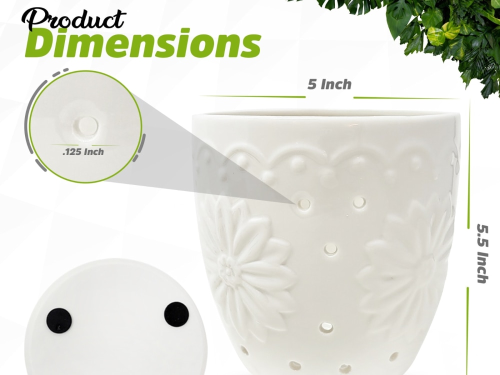 A creative amazon product pic designs | Upwork