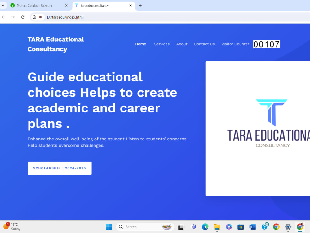 Running Website For Consultancy | Upwork