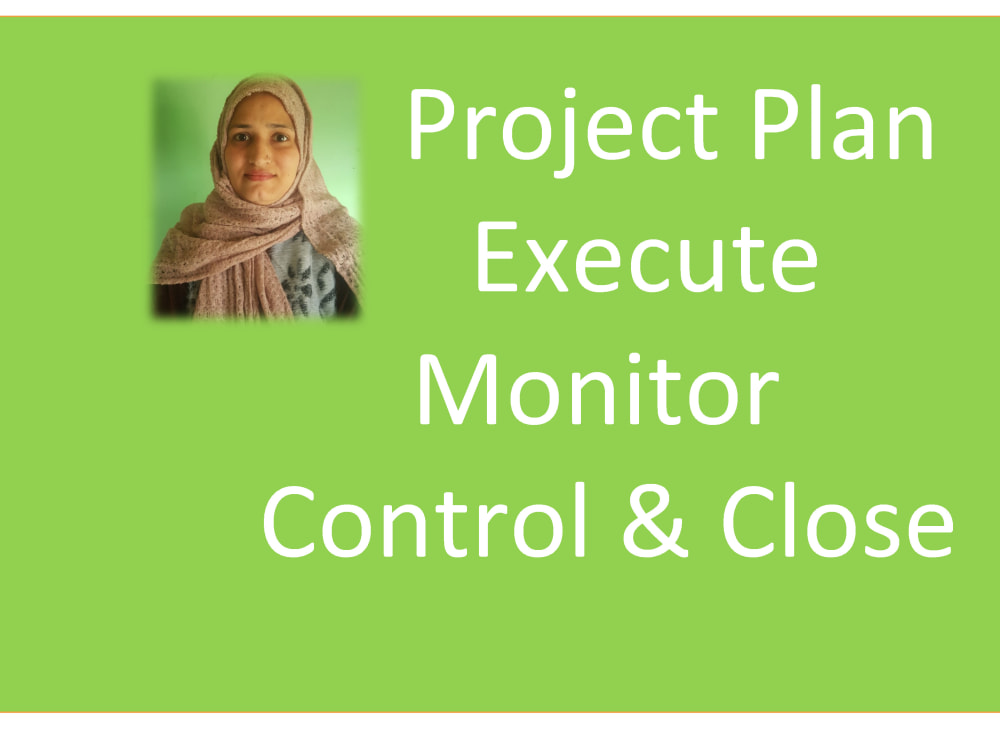 Professional services in project plan, execute, monitor, control ...